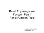 PPT - RENAL FUNCTION TESTS PowerPoint Presentation, free download - ID ...