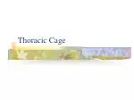 PPT - Thoracic Cage PowerPoint Presentation, free download - ID:9551337