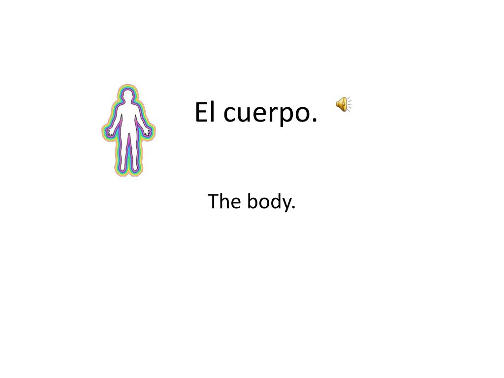 PPT - El cuerpo. PowerPoint Presentation, free download - ID:3735064