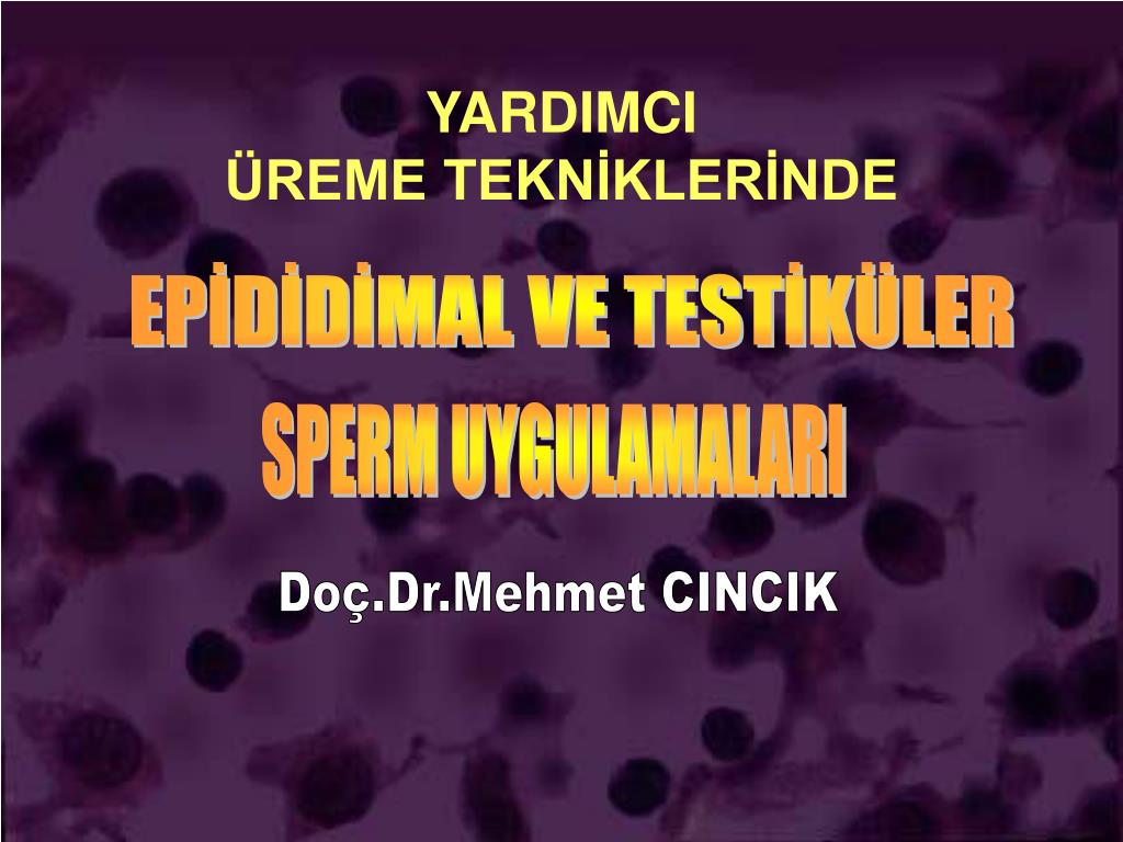 PPT - YARDIMCI ÜREME TEKNİKLERİNDE PowerPoint Presentation, free download - ID:3735331