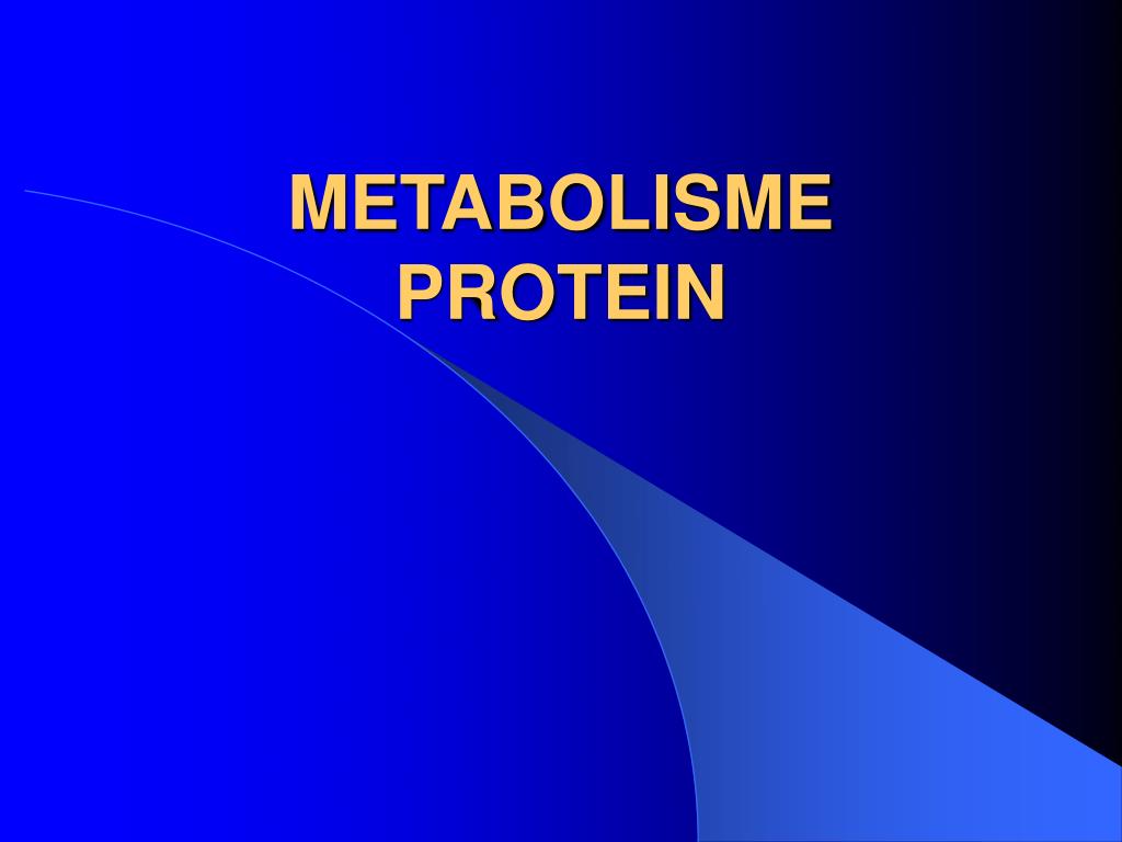 PPT - METABOLISME PROTEIN PowerPoint Presentation, free download - ID ...