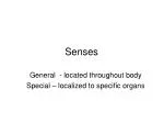 PPT - SUPER SENSES V EVS PowerPoint Presentation, free download - ID ...