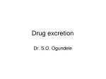 PPT - Excretion PowerPoint Presentation, free download - ID:1158418
