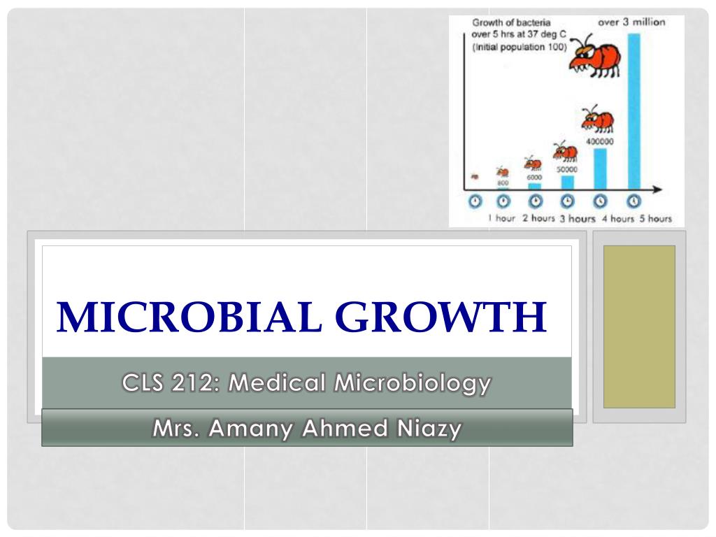 PPT - Microbial Growth PowerPoint Presentation, free download - ID:3740355
