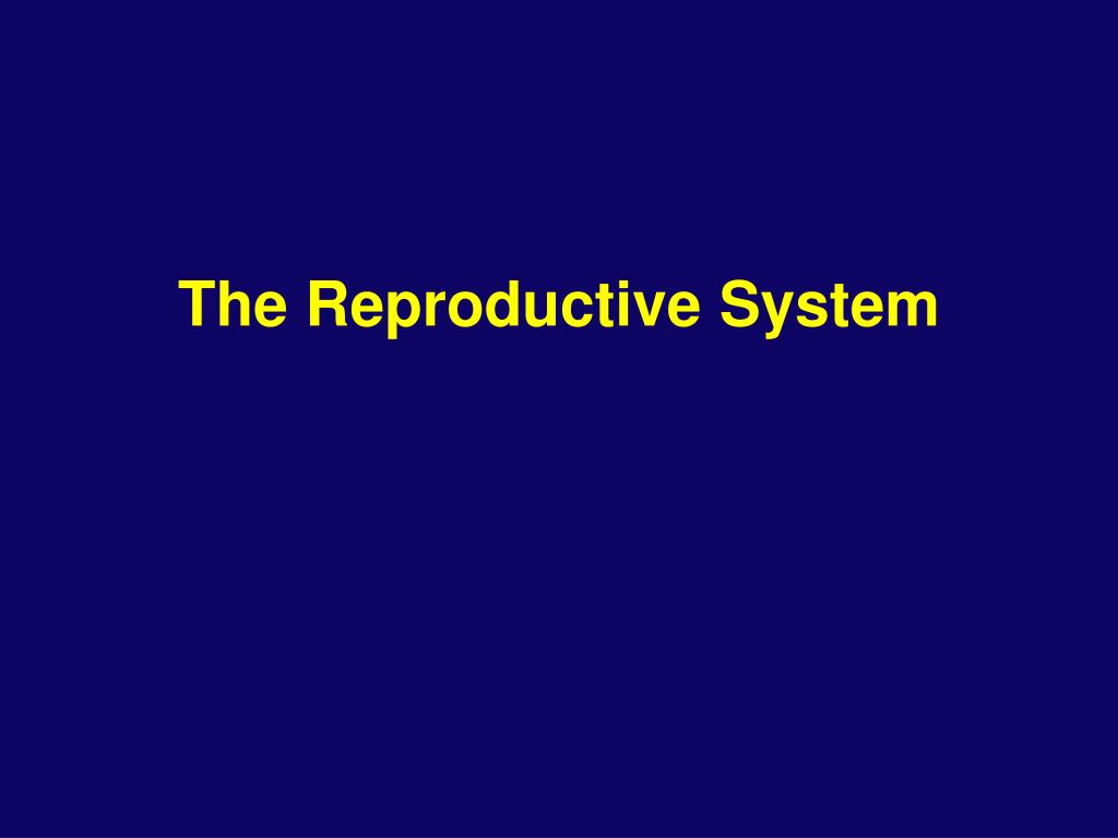 PPT - The Reproductive System PowerPoint Presentation, free download ...