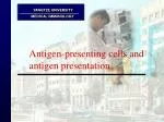 PPT - Antigen presenting cells and antigen presentation PowerPoint Presentation - ID:4333770