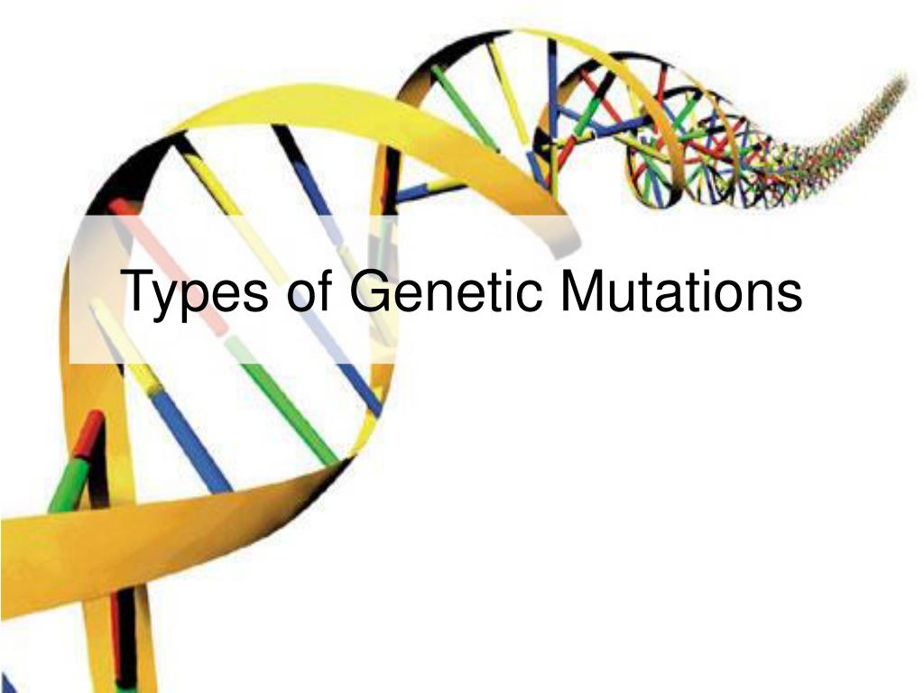 PPT - Types of Genetic Mutations PowerPoint Presentation, free download ...