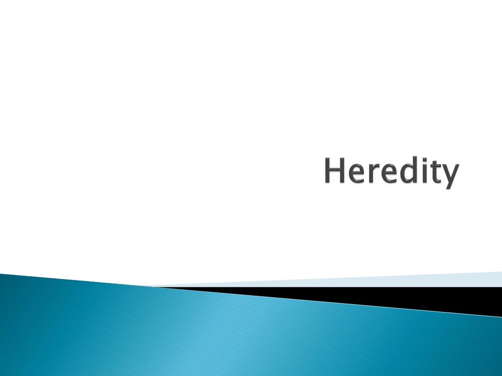 PPT - Heredity PowerPoint Presentation, free download - ID:3749671