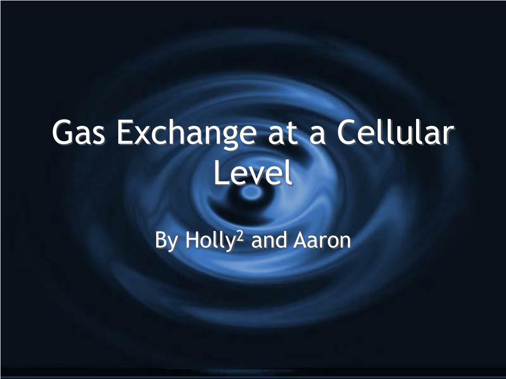 PPT - Gas Exchange at a Cellular Level PowerPoint Presentation, free ...