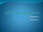 PPT - Molecular regulation of cell cycle PowerPoint Presentation, free ...