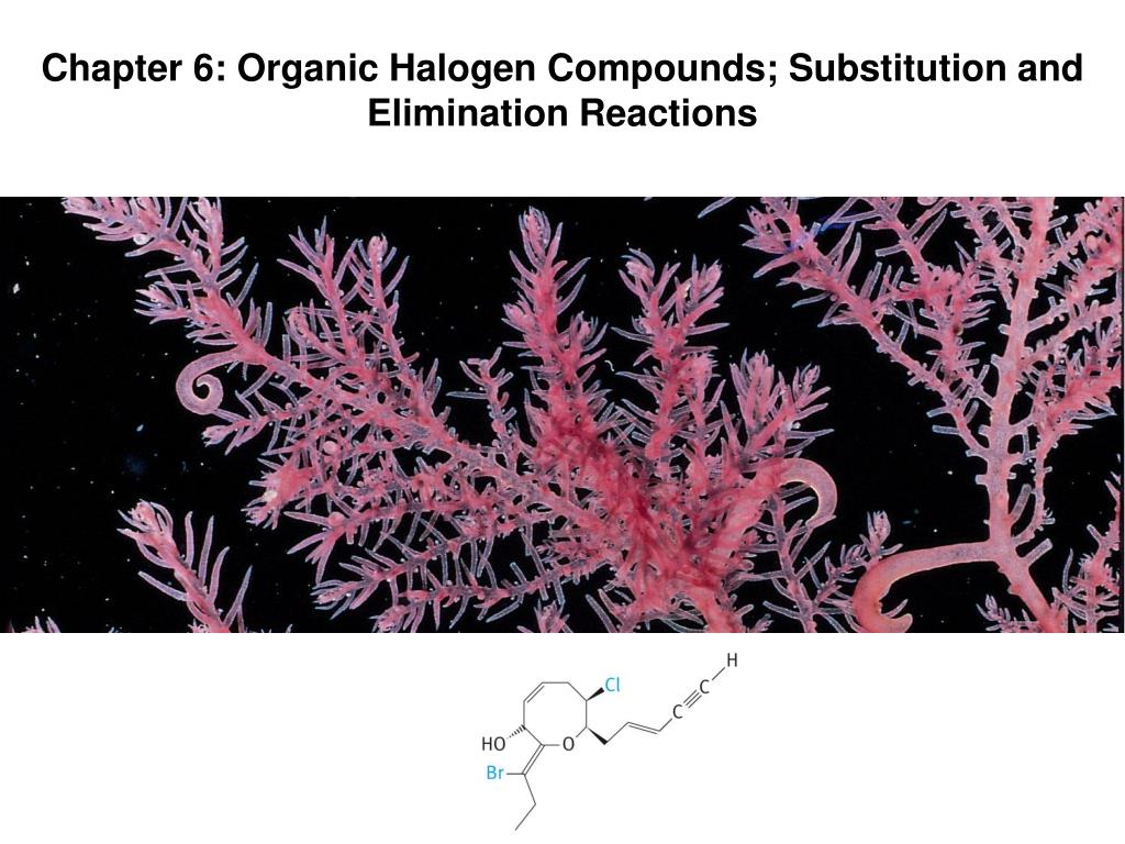 PPT - Chapter 6: Organic Halogen Compounds; Substitution and ...