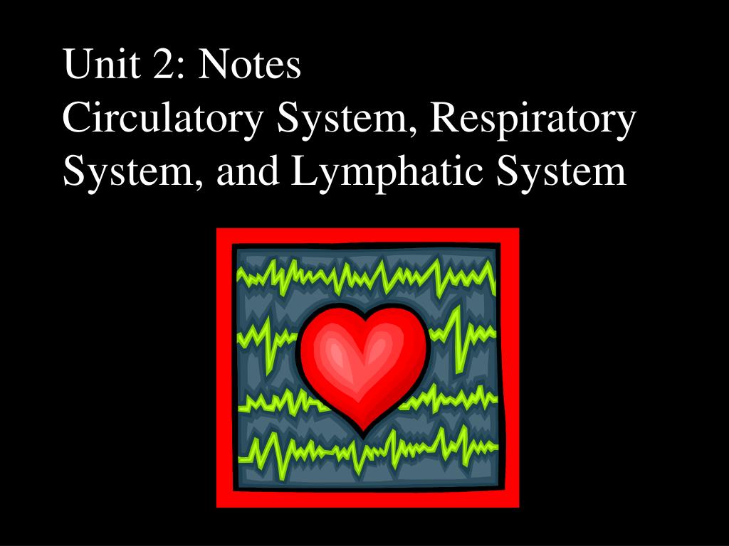 PPT - Unit 2: Notes Circulatory System, Respiratory System, and ...