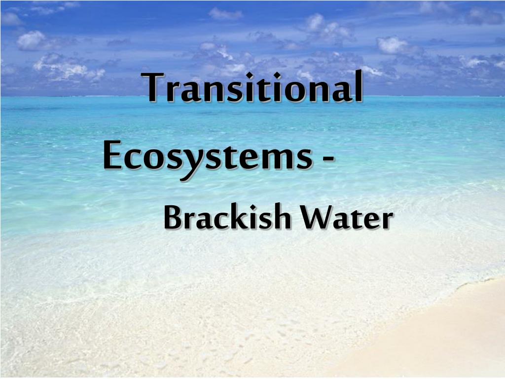 PPT - Transitional Ecosystems - Brackish Water PowerPoint Presentation ...