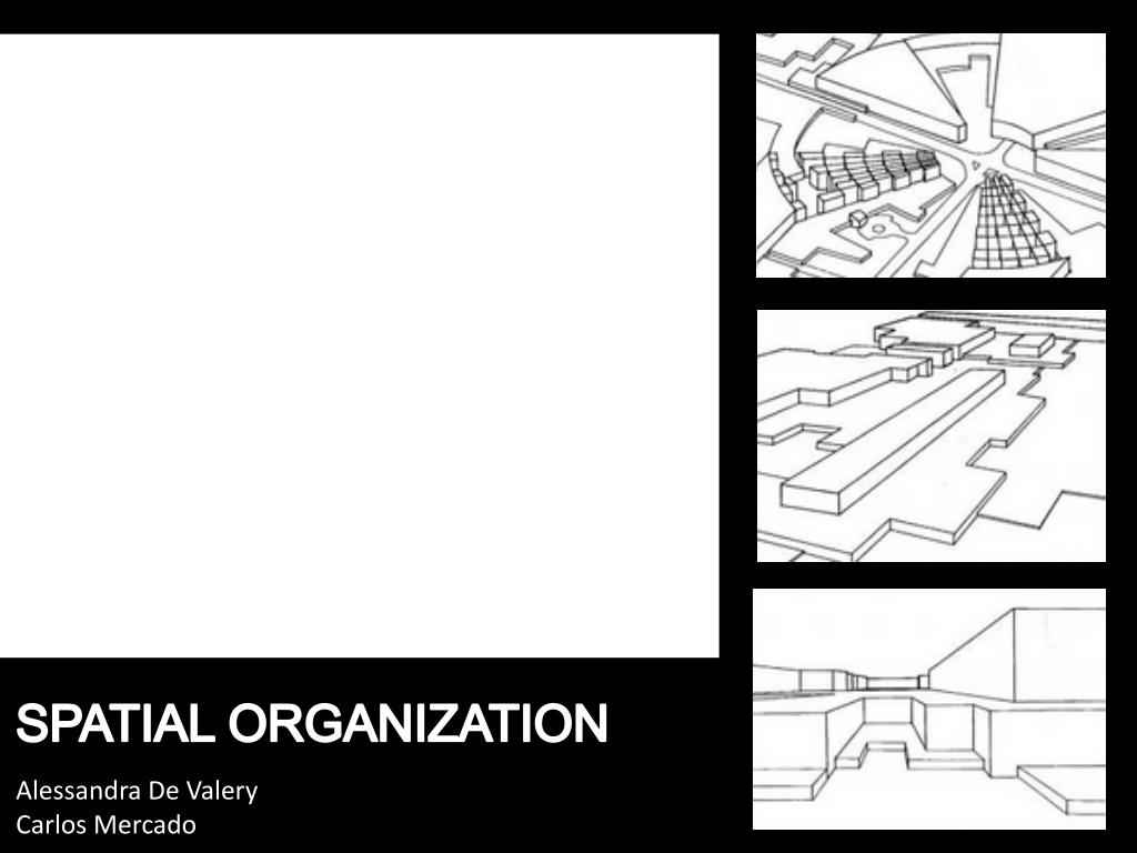 PPT - SPATIAL ORGANIZATION PowerPoint Presentation, free download - ID ...