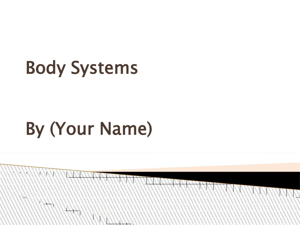 PPT - Maximizing Body Systems: A Guide to Understanding Muscular ...