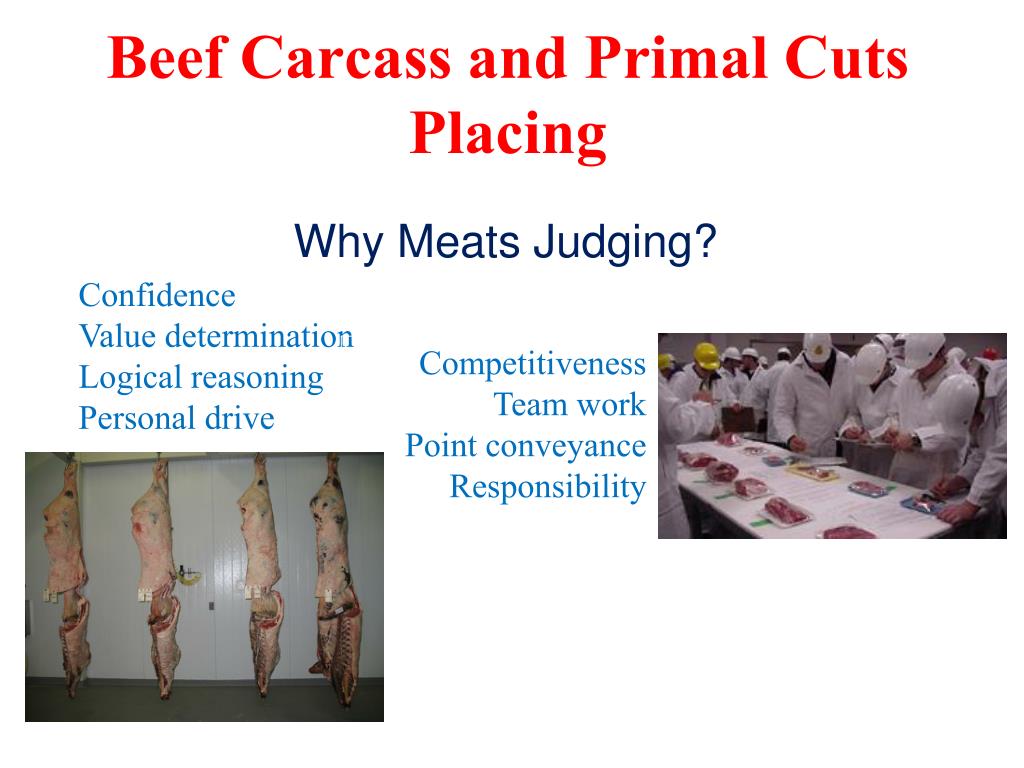 PPT - Beef Carcass and Primal Cuts Placing PowerPoint Presentation ...