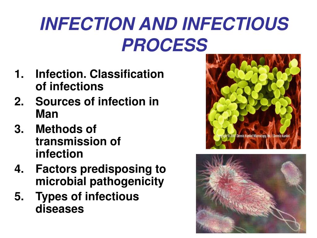 PPT - INFECTION AND INFECTIOUS PROCESS PowerPoint Presentation, free ...