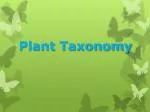 PPT - Plant Taxonomy PowerPoint Presentation, free download - ID:1455437