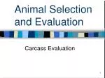 PPT - Supplier Evaluation and Selection PowerPoint Presentation, free ...