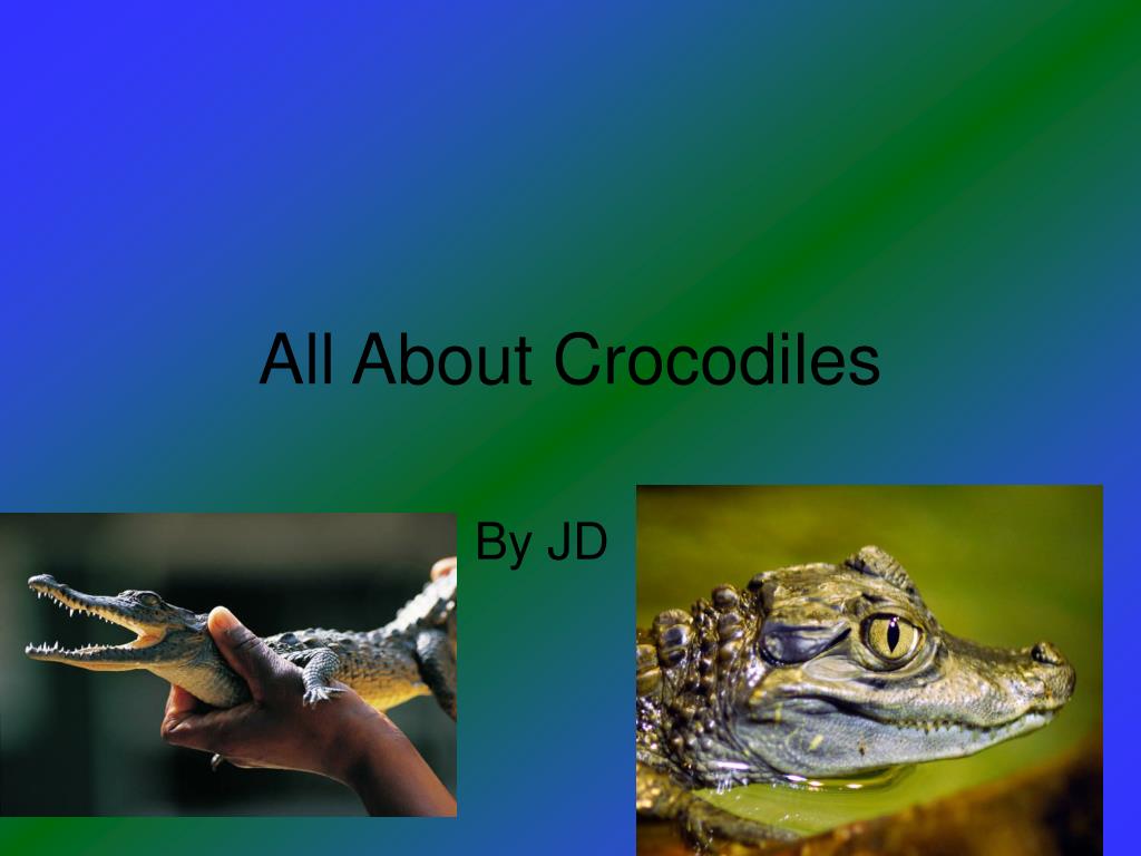 PPT - All About Crocodiles PowerPoint Presentation, free download - ID ...