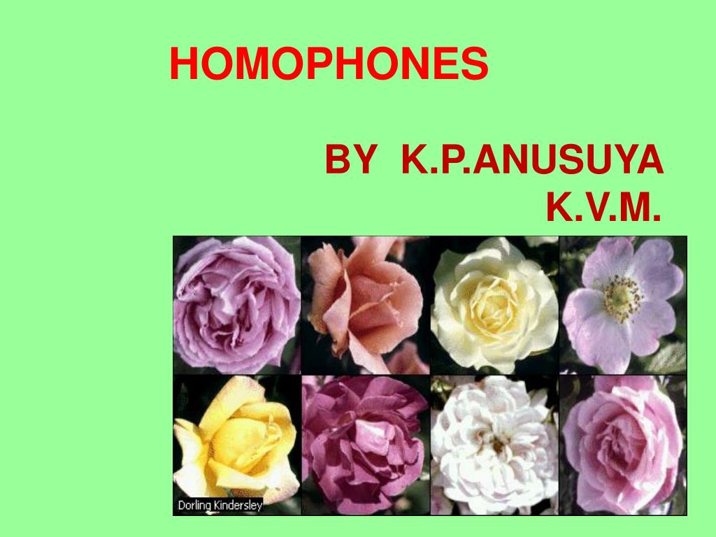 PPT - HOMOPHONES PowerPoint Presentation, free download - ID:3767836