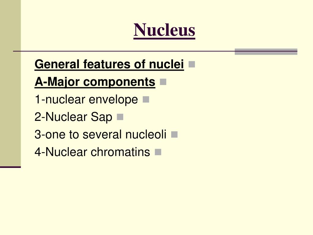 PPT - Nucleus PowerPoint Presentation, free download - ID:3768084