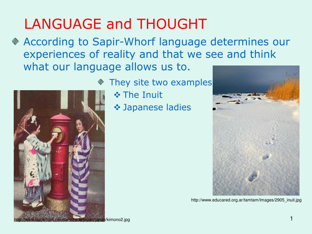 PPT - LANGUAGE and THOUGHT PowerPoint Presentation, free download - ID ...