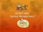 PPT - Honey Bee Biology The Basis for Colony Management PowerPoint ...