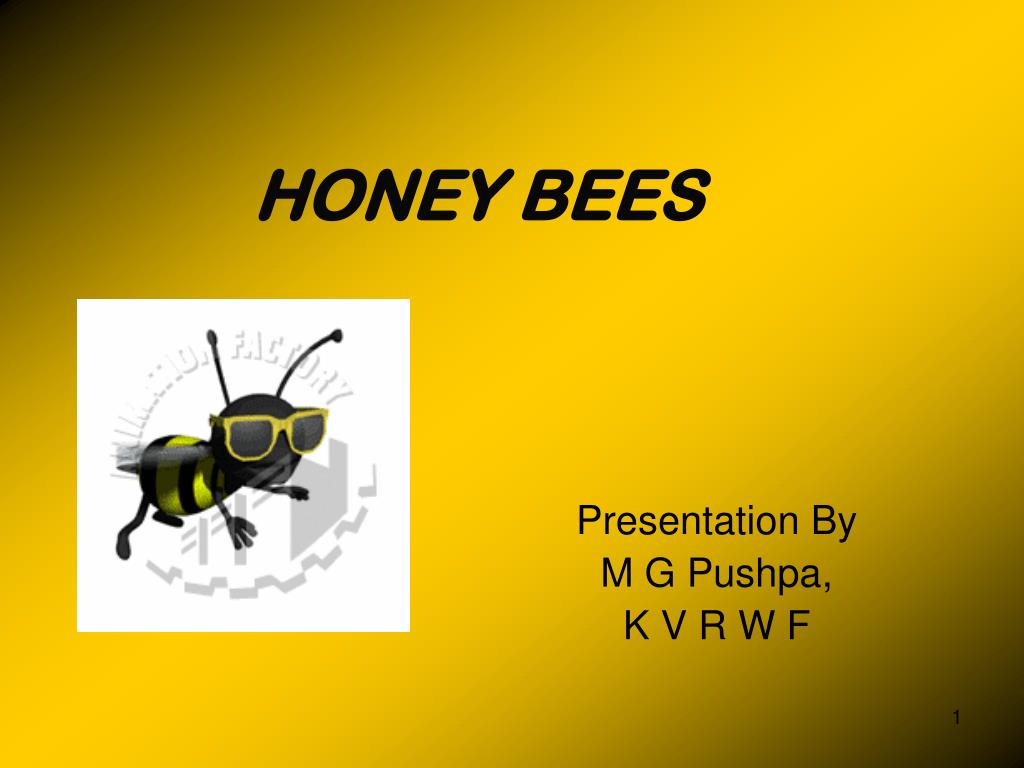 PPT - HONEY BEES PowerPoint Presentation, free download - ID:3770254
