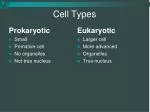 PPT - CLASSIFICATION OF CELL TYPES PowerPoint Presentation, free ...