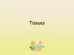 PPT - TISSUES PowerPoint Presentation, free download - ID:2967881