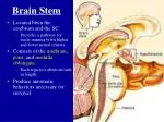 PPT - Localization of Brain Stem Lesions PowerPoint Presentation, free ...