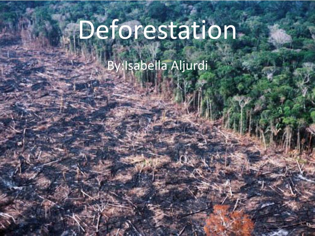 PPT - Deforestation PowerPoint Presentation, free download - ID:3775598