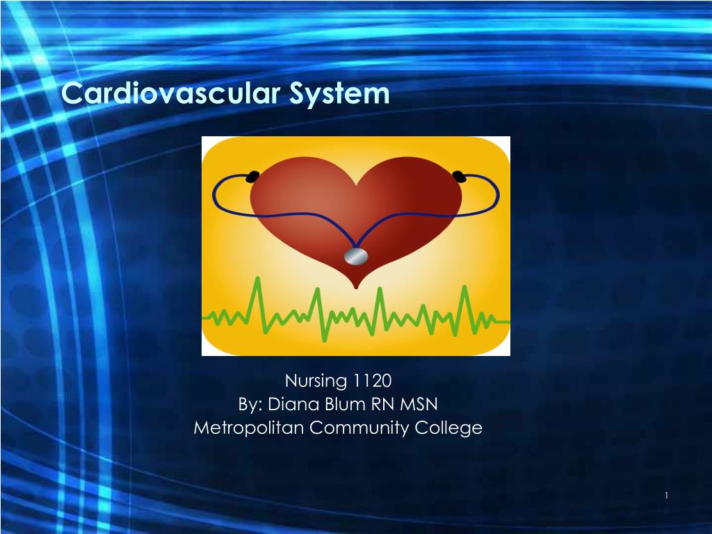 PPT - Cardiovascular System PowerPoint Presentation, free download - ID ...