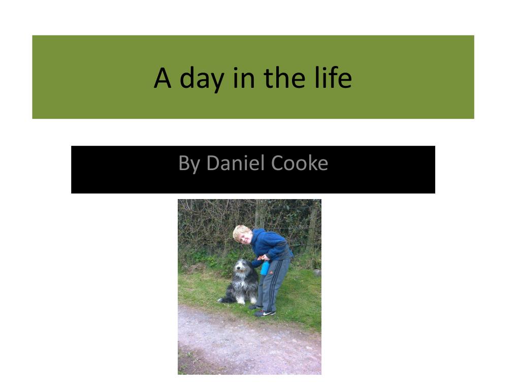 PPT - A day in the life PowerPoint Presentation, free download - ID:3779745
