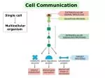 PPT - Cell Communication PowerPoint Presentation, free download - ID ...