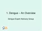 PPT - DENGUE PowerPoint Presentation, free download - ID:7156452