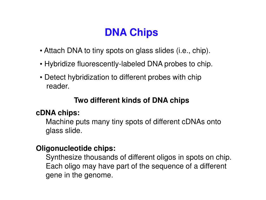 PPT - DNA Chips PowerPoint Presentation, free download - ID:3785705