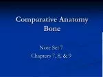 PPT - Comparative Anatomy PowerPoint Presentation, free download - ID:354474