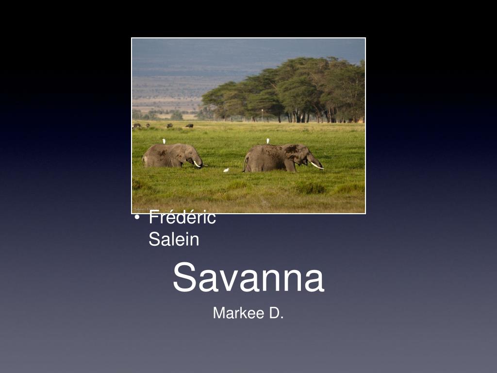 PPT - Savanna PowerPoint Presentation, free download - ID:3787198
