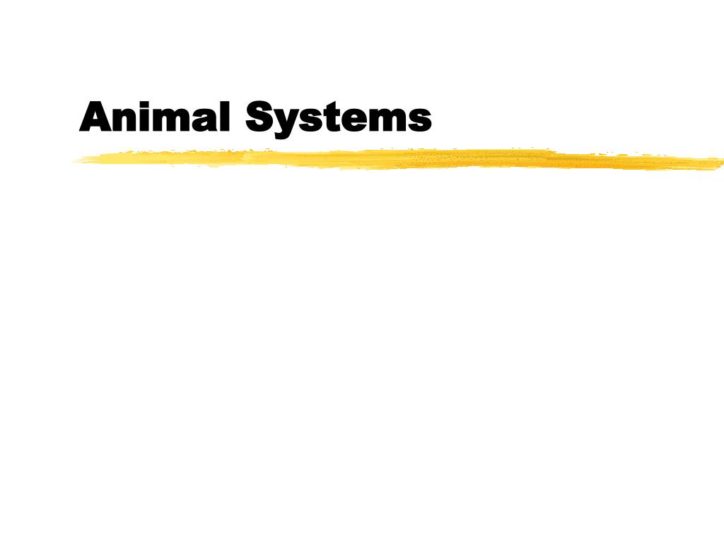 PPT - Animal Systems PowerPoint Presentation, free download - ID:3789926