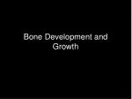 PPT - Bone Growth PowerPoint Presentation, free download - ID:1873462