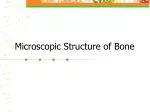 PPT - Bone Structure PowerPoint Presentation, free download - ID:2064486