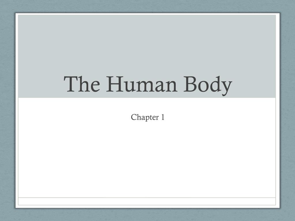 PPT - The Human Body PowerPoint Presentation, free download - ID:3790967