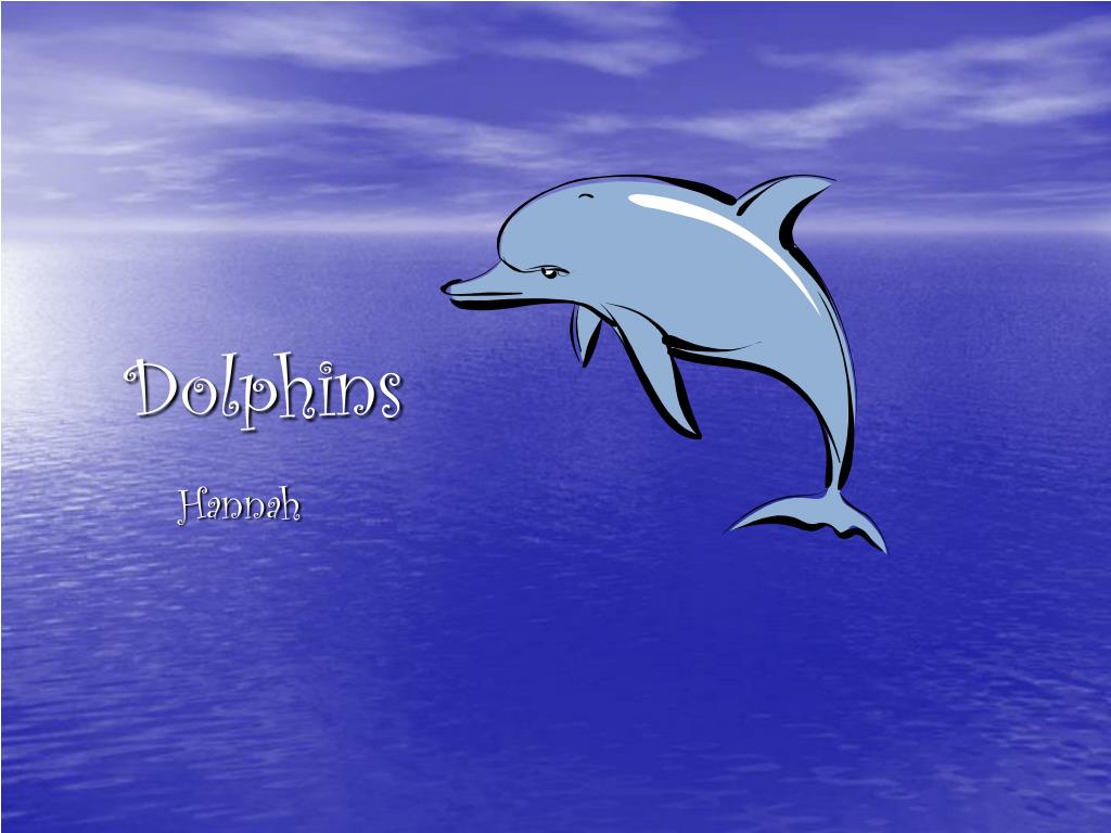 PPT - Dolphins PowerPoint Presentation, free download - ID:3791504