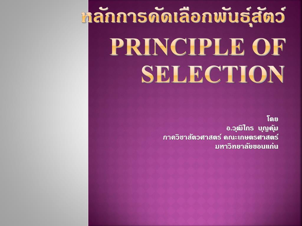 PPT - หลักการคัดเลือกพันธุ์สัตว์ Principle of Selection PowerPoint ...