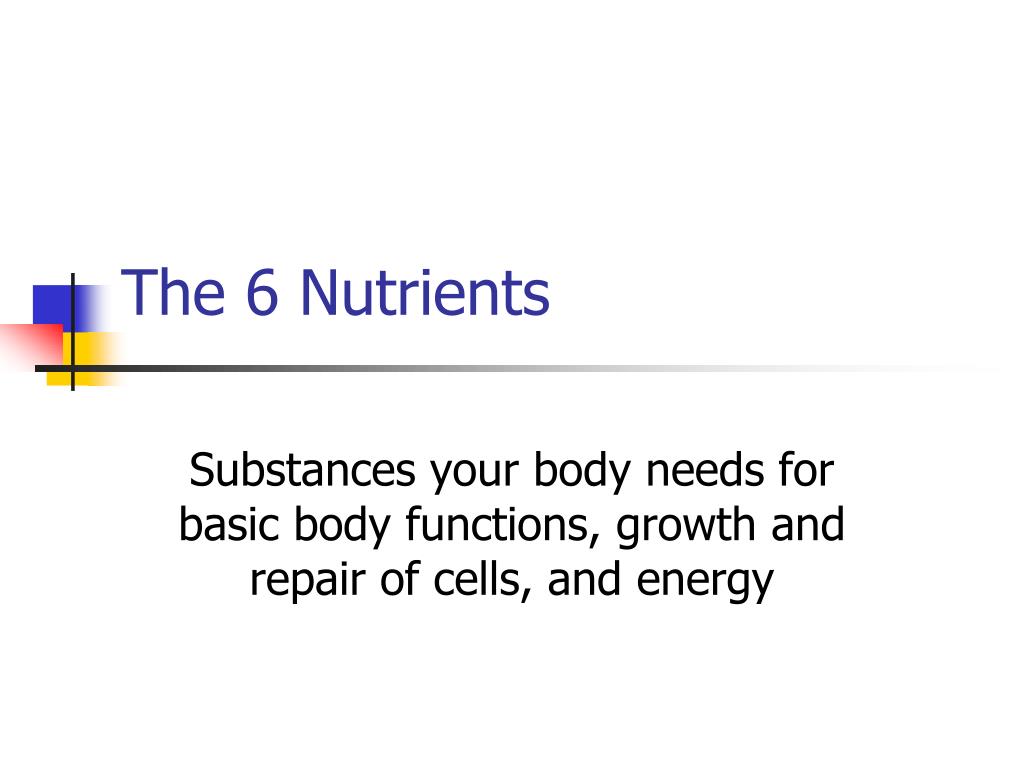 PPT - The Essential Nutrients for Your Body: Proteins, Carbohydrates ...