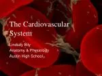 PPT - The Cardiovascular System PowerPoint Presentation, free download ...