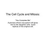 PPT - THE CELL CYCLE and MITOSIS PowerPoint Presentation, free download ...