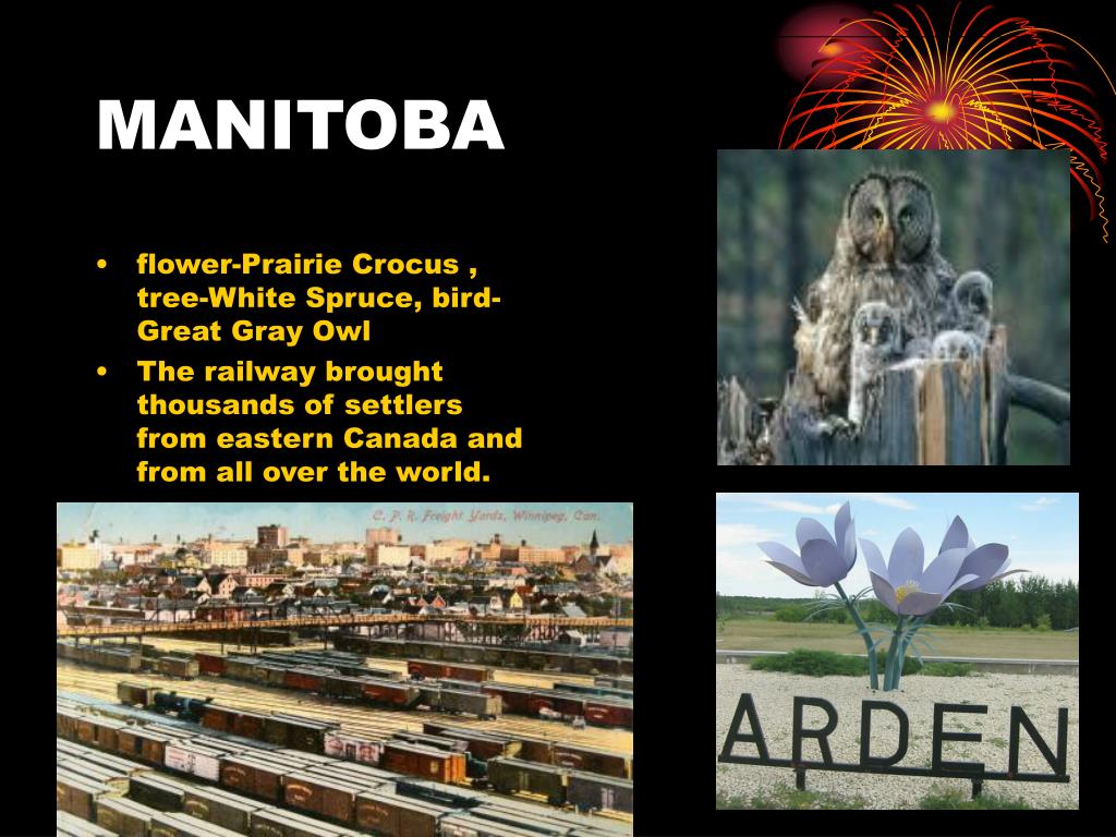 PPT - MANITOBA PowerPoint Presentation, free download - ID:3805036